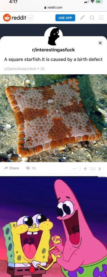 A square starfish.It is caused by a birth defect - iFunny