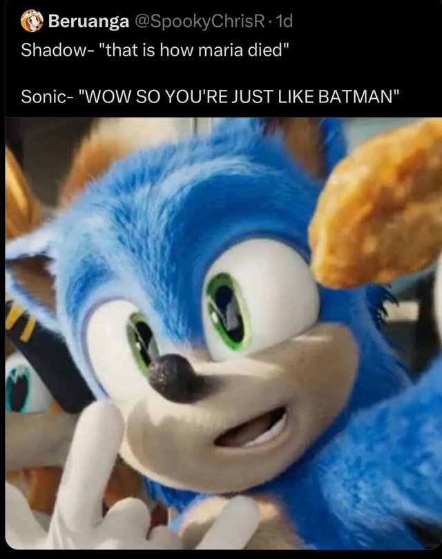 Beruanga @SpookyChrisR: Shadow- "that is how maria died" Sonic- "WOW SO ...