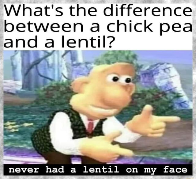 What's the difference between a chick pea and a lentil? never had a ...