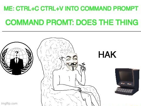 ME: INTO COMMAND PROMPT COMMAND PROM DOES THE THING - iFunny