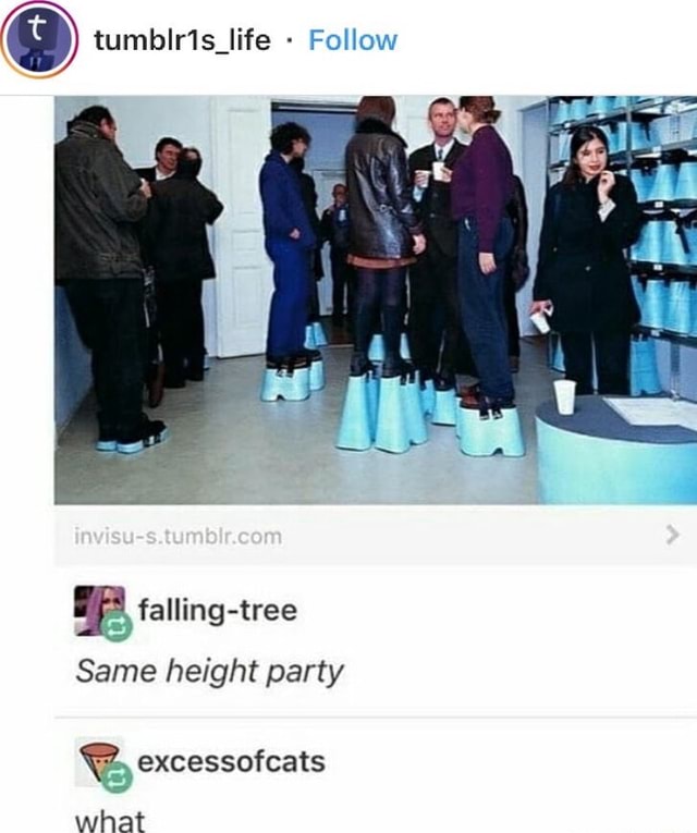 Tumblr1s_life Follow falling-tree Same height party excessofcats what - iFunny