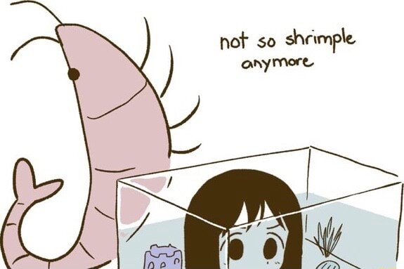 Not so sheimple anymore. - iFunny