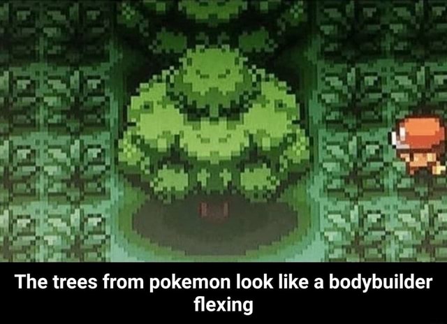 The trees from pokemon look like a bodybuilder flexing - iFunny