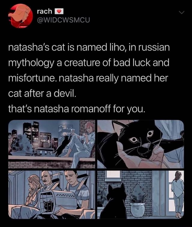 Natasha's cat is named liho, in russian mythology a creature of bad ...