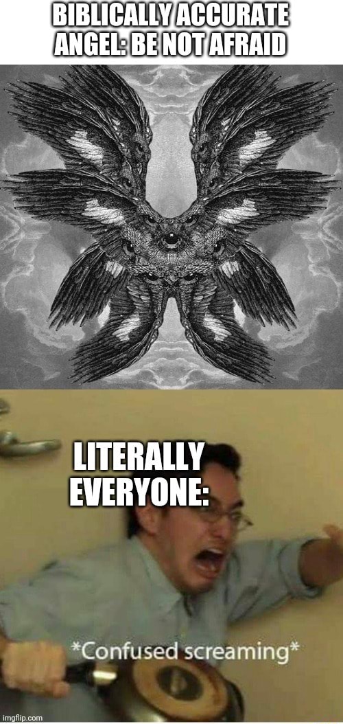ANGEL LITERALLY EVERYONE: *Confused screaming* - iFunny