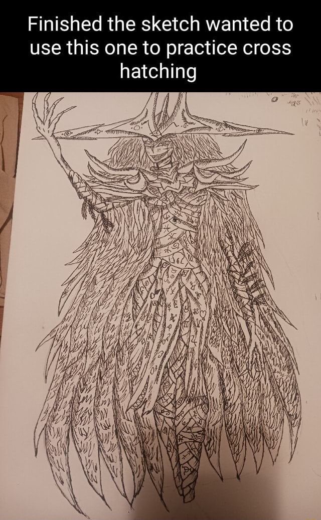 Finished the sketch wanted to use this one to practice cross hatching ...