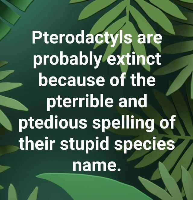 Pterodactyls are probably extinct because of the pterrible and ptedious ...