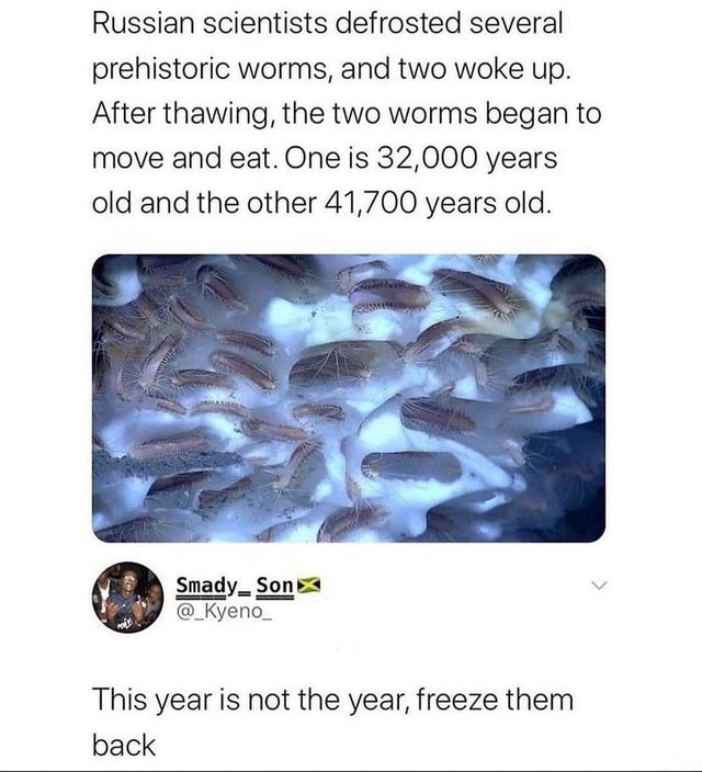 Russian scientists defrosted several prehistoric worms, and two woke up ...