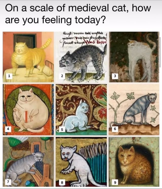 On a scale of medieval cat, how are you feeling today? - iFunny