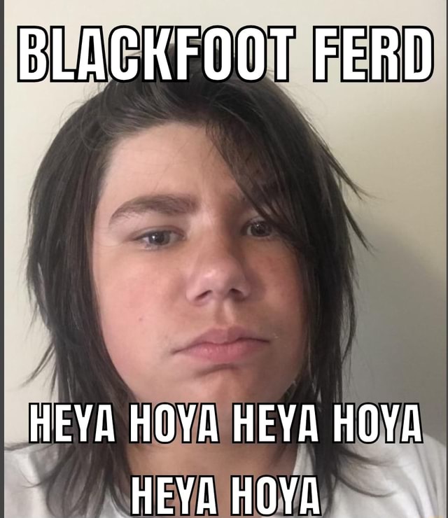 HOYA HEYA HOYA - iFunny