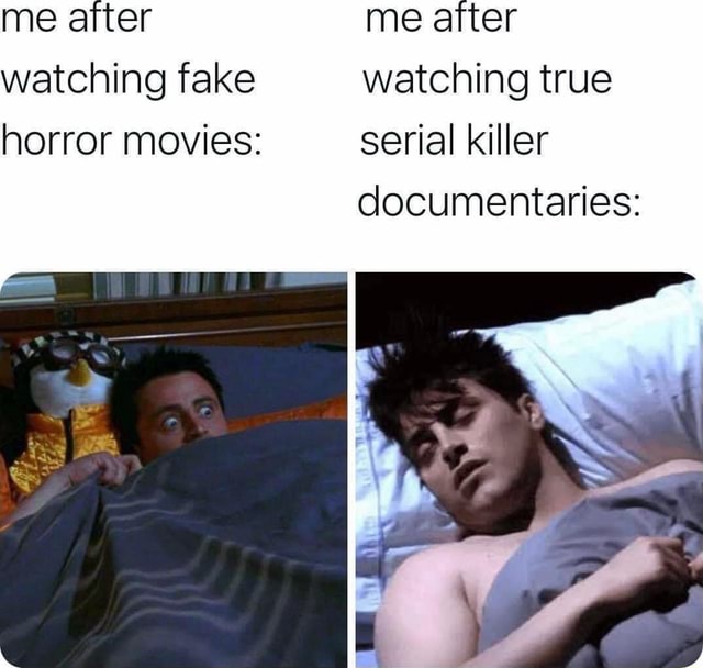 Me after me after watching fake watching true horror movies: serial ...