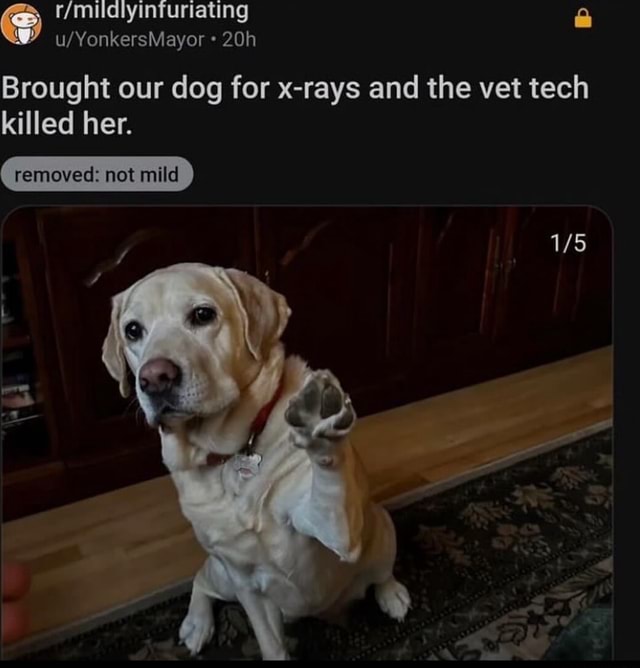 Fay Brought our dog for x-rays and the vet tech killed her. removed ...