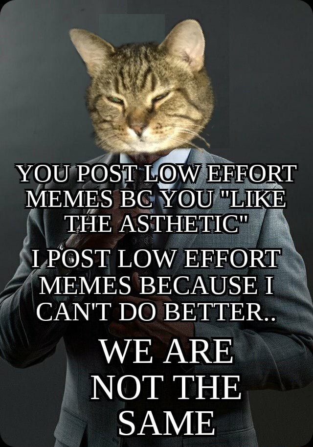 YOU POST LOW EFFORT MEMES BC YOU "LIKE THE ASTHETIC" POST LOW EFFORT ...