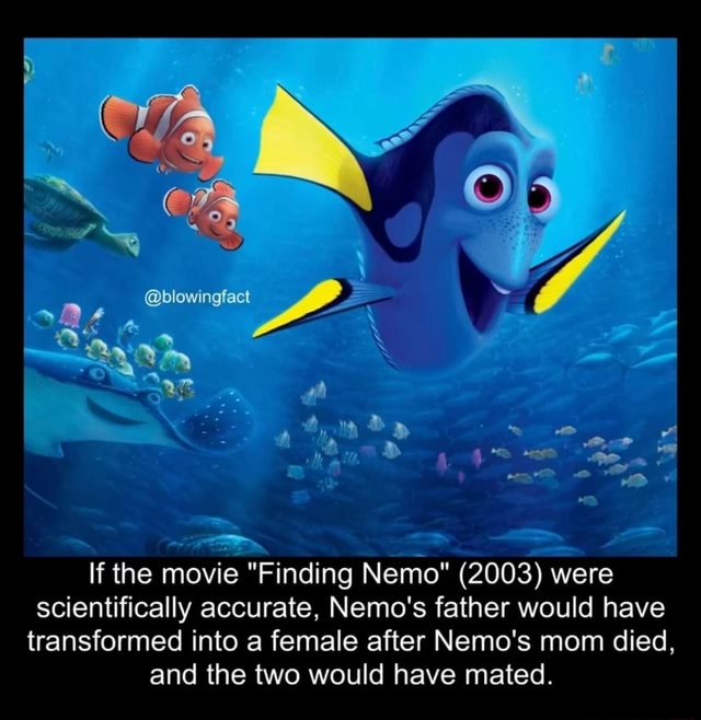 On If the movie "Finding Nemo" (2003) were scientifically accurate ...
