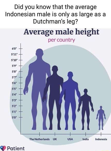 Did you know that the average Indonesian male is only as large as a ...