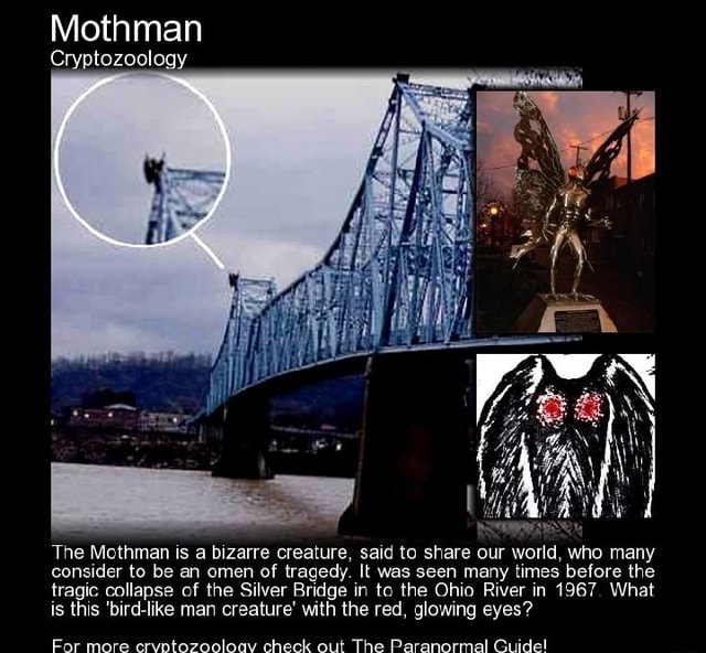 Mothman Cryptozoology The Mothman is a bizarre creature, said to share ...