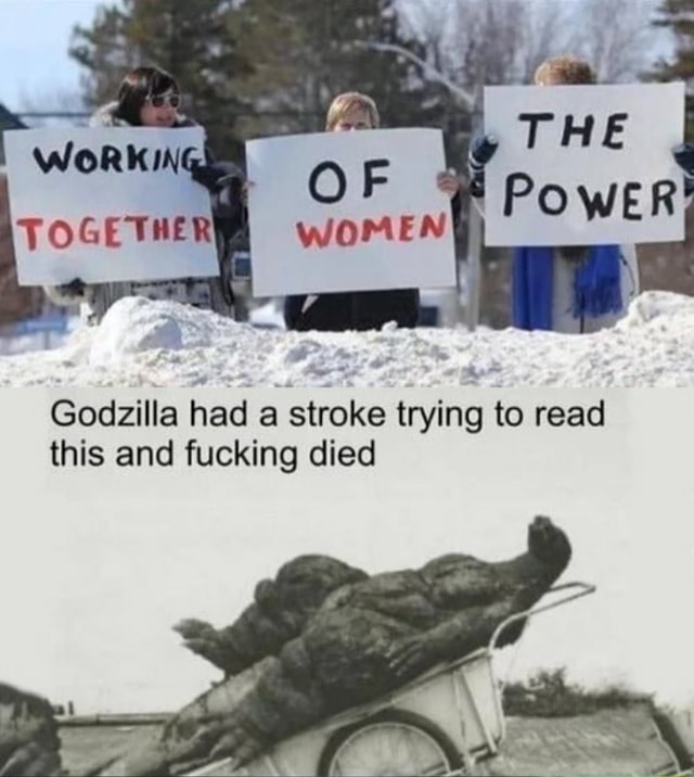 Godzilla had a stroke trying to read this and fucking died - iFunny