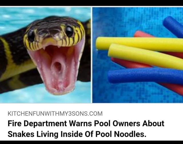 Fire Department Warns Pool Owners About Snakes Living Inside Of Pool ...