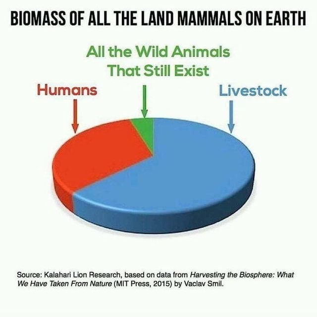 BIOMASS OF ALL THE LAND MAMMALS ON EARTH All the Wild Animals That ...