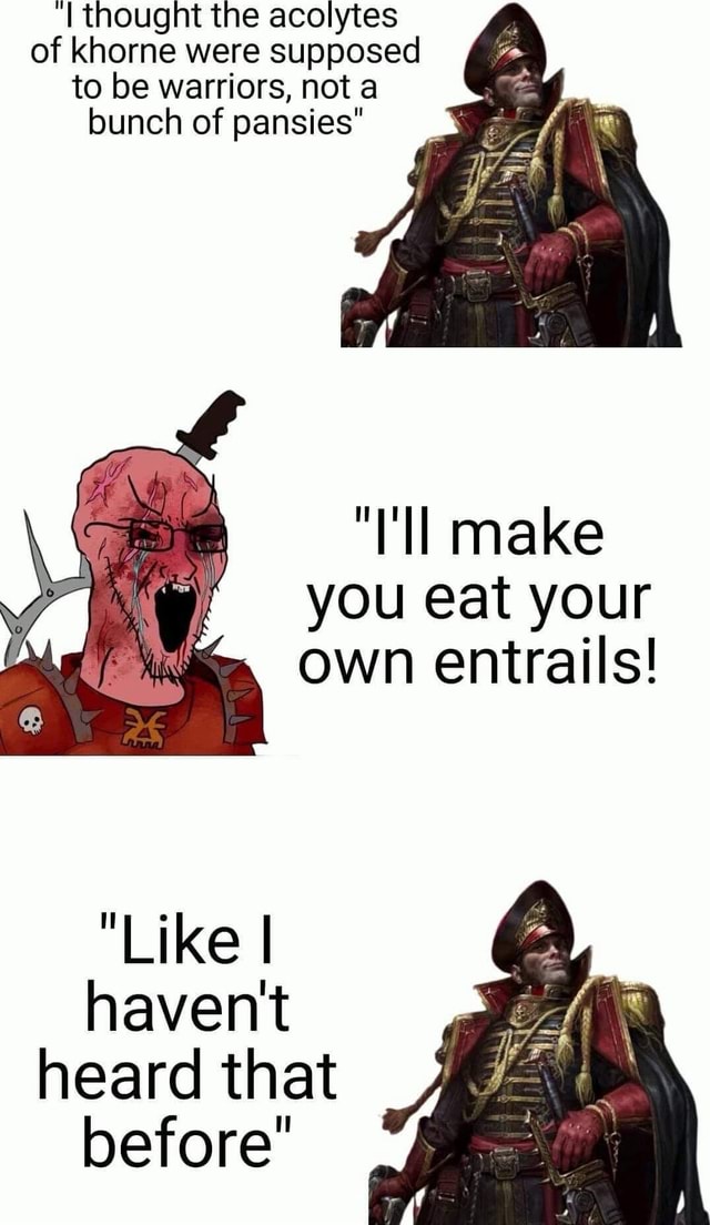 'I thought the acolytes of khorne were supposed to be warriors, not a ...