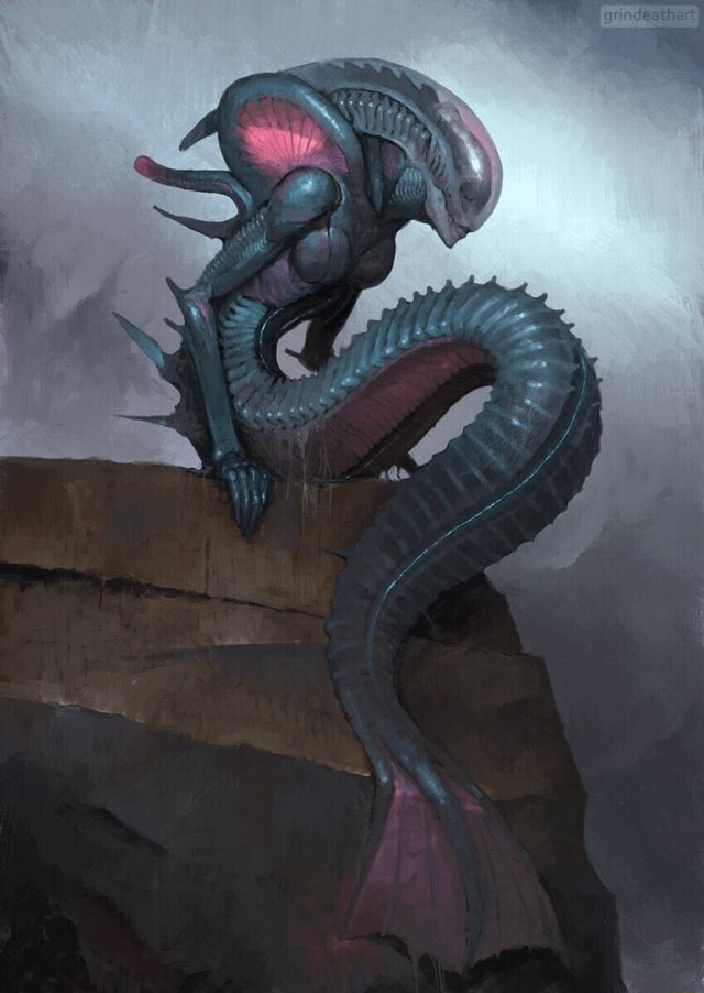 Picture memes okV0csOMA by Yehoshua: 1 comment - iFunny