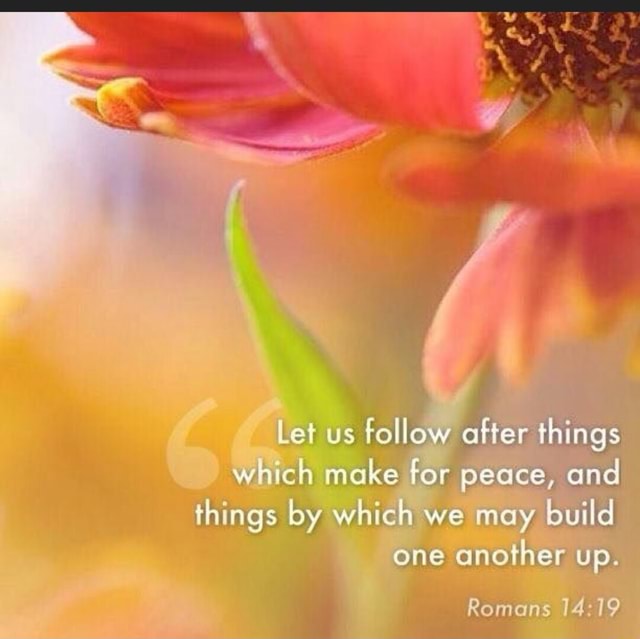 Let us follow after things which make for peace, and things by which we ...