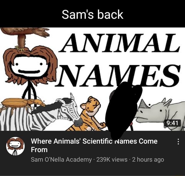 Sam's back Where Animals' Scientific Names Come From Sam O'Nella ...
