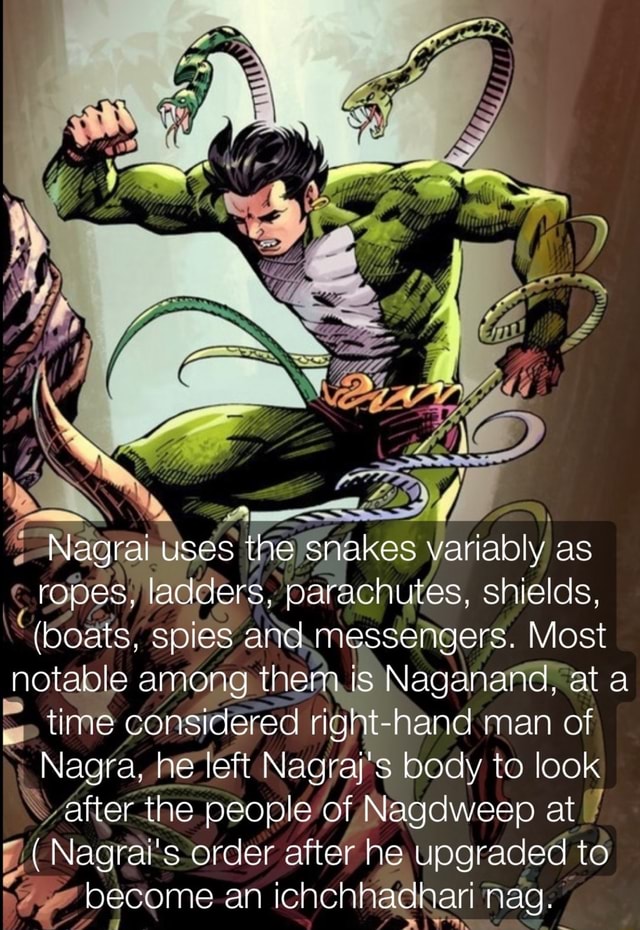 Nagral uses the snakes variably as ropes, ladders, parachutes, shields ...