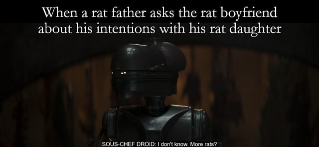 When a rat father asks the rat boyfriend about his intentions with his ...