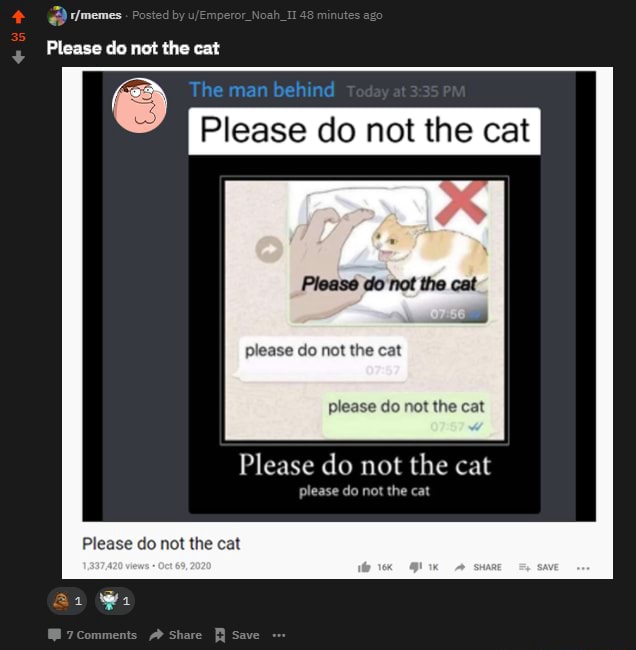 Memes Please do not the cat The man behind Please do not the cat Please do 'not the cat please ...