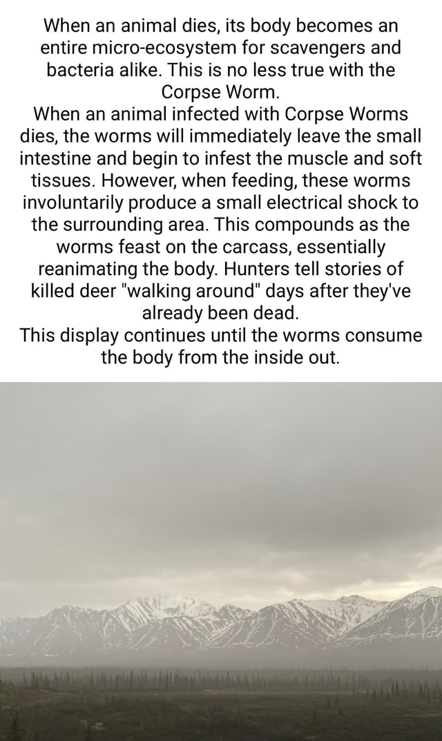 When an animal dies, its body becomes an entire micro-ecosystem for ...