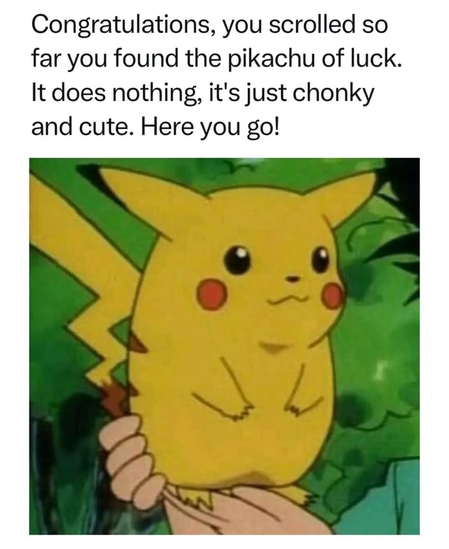 Congratulations, you scrolled so far you found the pikachu of luck. It ...