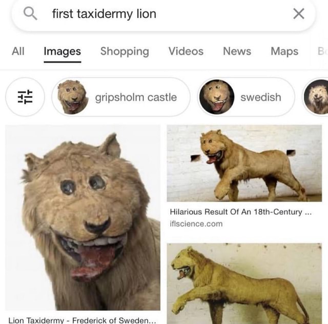 Q. first taxidermy lion All Images Shopping Videos News Maps B ...