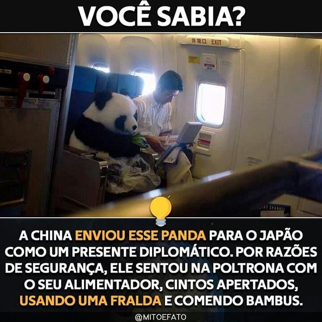 VOCÊ SABIA? E ACHINA ENVIOU ESSE PANDA PARA O JAPÃO COMO UM PRESENTE ...