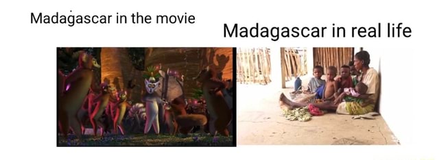 Madagascar in the movie Madagascar in real life - iFunny