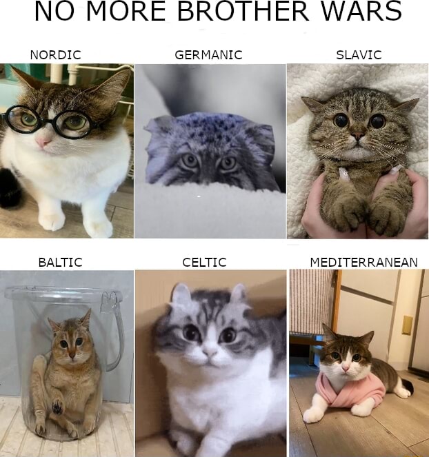 NO MORE BROTHER WARS NORDIC GERMANIC SLAVIC CELTIC - iFunny