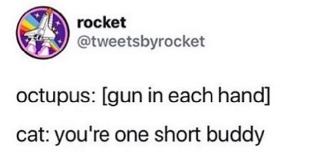 Octupus: [gun in each hand] cat: you're one short buddy - iFunny