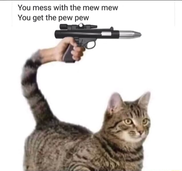 You mess with the mew mew You get the pew pew - iFunny
