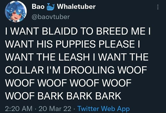 Bao Whaletuber @baovtuber I WANT BLAIDD TO BREED ME I WANT HIS PUPPIES ...