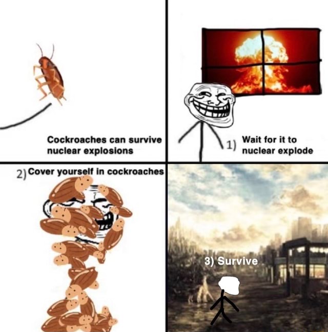 Cockroaches can survive nuclear explosions Wait for it to nuclear ...