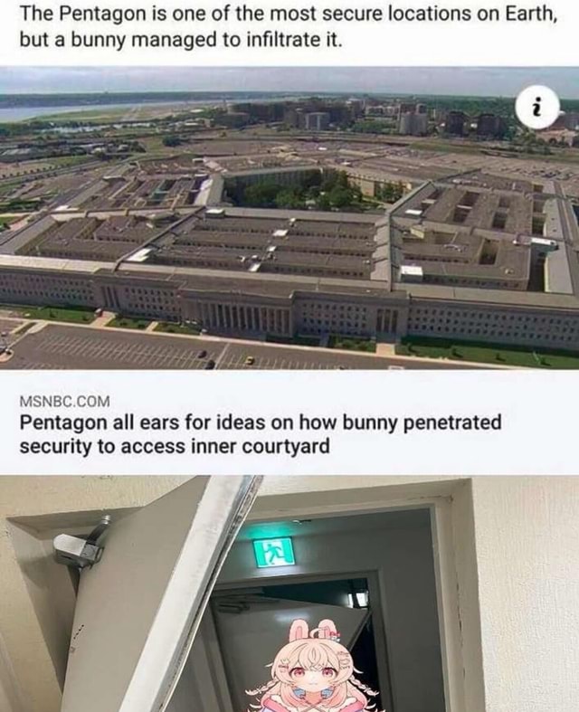 The Pentagon is one of the most secure locations on Earth, but a bunny ...