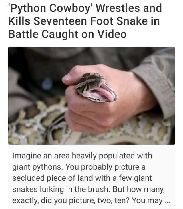 'Python Cowboy' Wrestles and Kills Seventeen Foot Snake in Battle ...