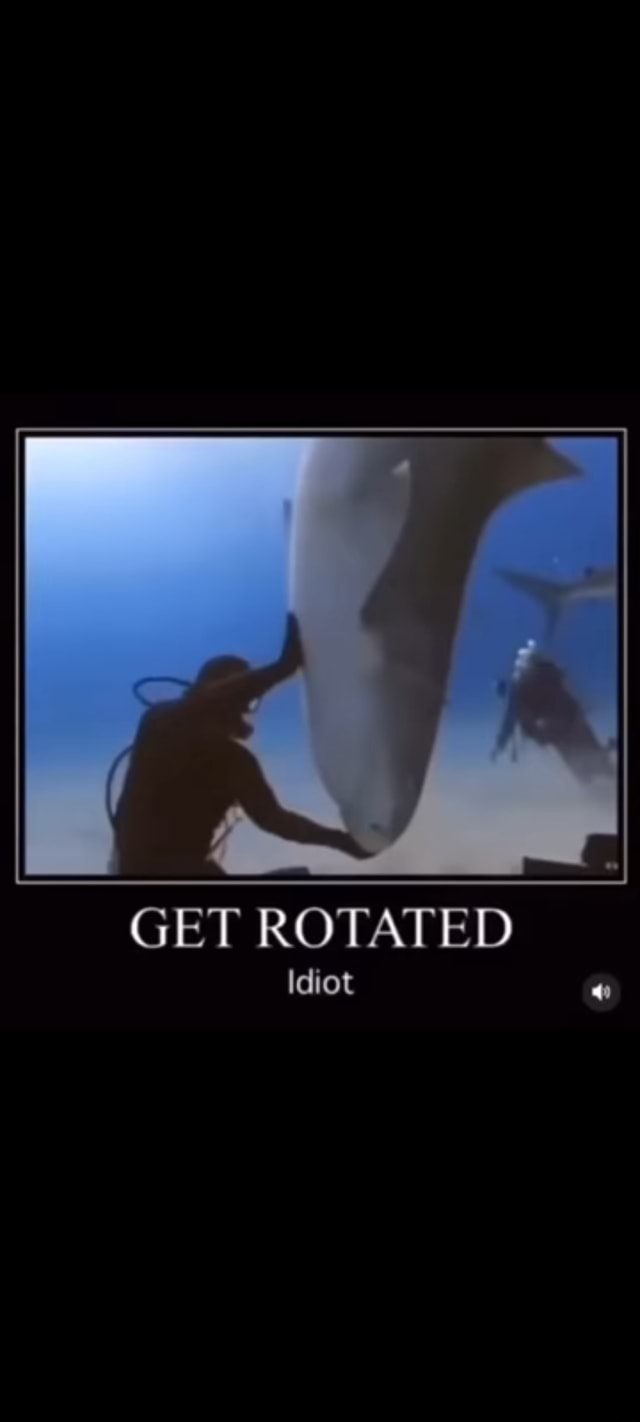 GET ROTATED Idiot - iFunny