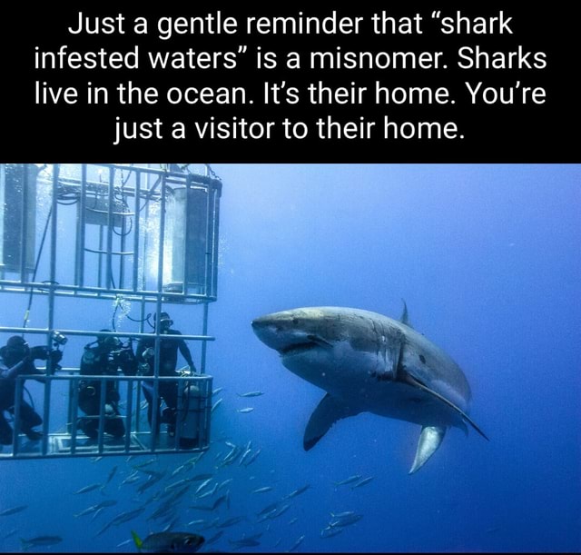 Just a gentle reminder that "shark infested waters" is a misnomer ...