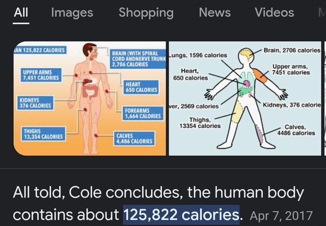 All Images Shopping News Videos CALORITS Brain, 2706 calories ungs ...
