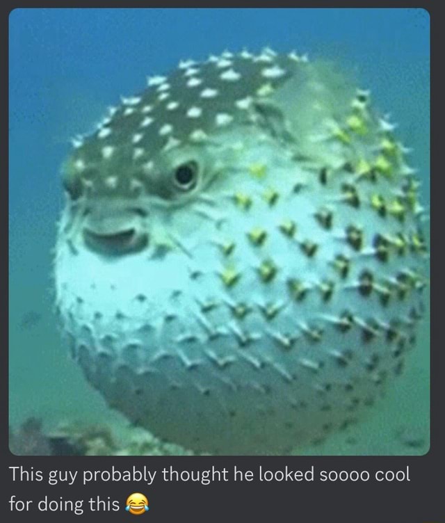 This guy probably thought he looked soooo cool for doing this - iFunny
