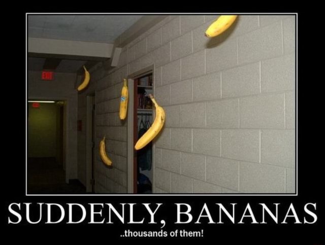SUDDENLY, BANANAS - iFunny