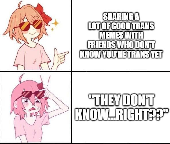 Egg_irl - SHARING A LOT OF GOOD TRANS MEMES WITH FRIENDS WHO DONT KNOW ...