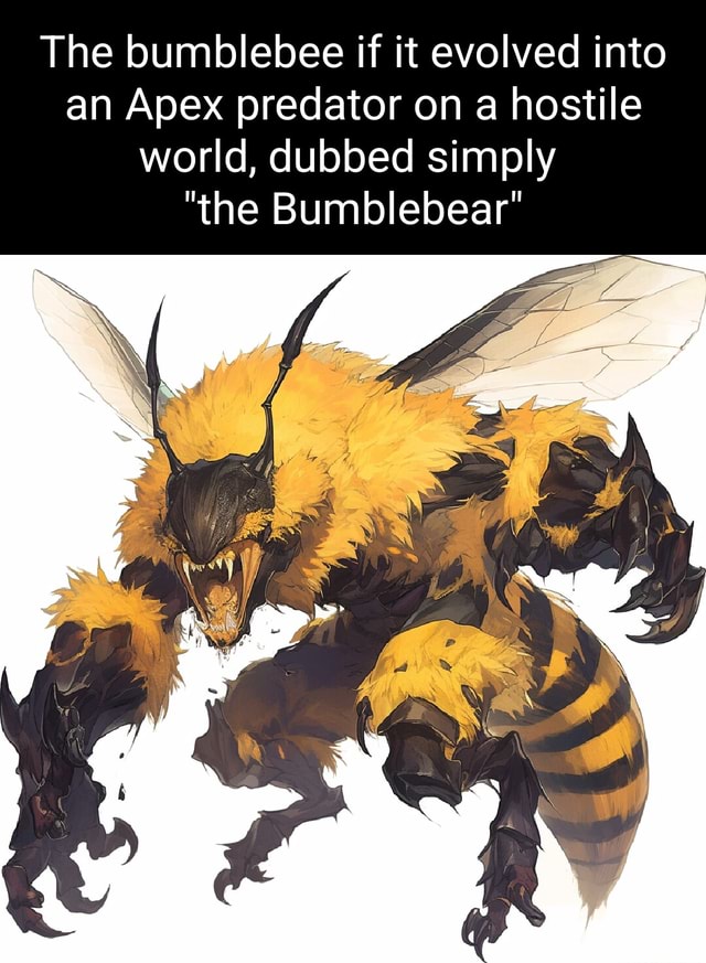 The bumblebee if it evolved into an Apex predator on a hostile world ...