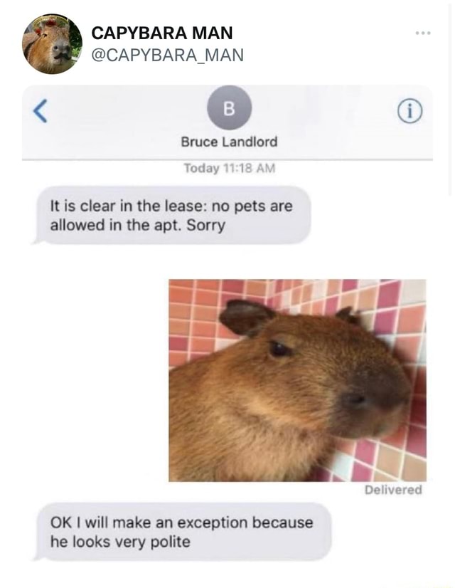 CAPYBARA MAN @CAPYBARA_MAN Bruce Landlord Today AM It is clear in the ...